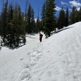 Goodwin Lake Trail, Wyoming - 357 Reviews, Map | AllTrails