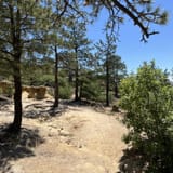 Palmer Park Outer Loop Trail, Colorado - 656 Reviews, Map | AllTrails