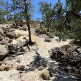 Palmer Park Outer Loop Trail, Colorado - 656 Reviews, Map | AllTrails