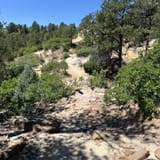 Palmer Park Outer Loop Trail, Colorado - 656 Reviews, Map | AllTrails