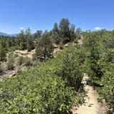 Palmer Park Outer Loop Trail, Colorado - 656 Reviews, Map | AllTrails
