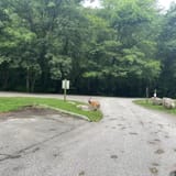 Cascades National Recreation Trail to Barney's Wall, Virginia - 475 ...