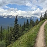 Castle Mountain Lookout Trail, Alberta, Canada - 2,094 Reviews, Map ...