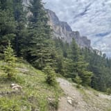 Castle Mountain Lookout Trail, Alberta, Canada - 2,048 Reviews, Map ...