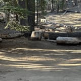 Muir Grove Trail, California - 399 Reviews, Map | AllTrails
