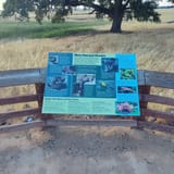 Phantom Falls Trail, California - 2,363 Reviews, Map | AllTrails