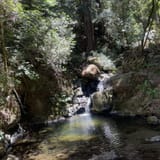 Cataract Falls Trail, California - 3,912 Reviews, Map | AllTrails
