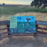 Phantom Falls Trail, California - 2,363 Reviews, Map | AllTrails