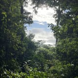 Conway Circuit (Whitsunday Great Walk), Queensland, Australia - 51 ...