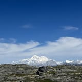 Kesugi Ridge (Curry Ridge) Trail, Alaska - 223 Reviews, Map | AllTrails