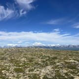 Kesugi Ridge (Curry Ridge) Trail, Alaska - 223 Reviews, Map | AllTrails