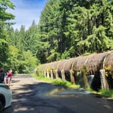 Toketee Falls, Oregon - 2,296 Reviews, Map | AllTrails