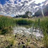 Foothills, Franco Ridge, Sugarloaf-Shell Ridge, and Borges Ranch Loop ...