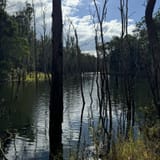 Pages Pinnacle , Queensland, Australia - 1,584 Reviews, Map | AllTrails