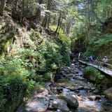 The Flume Gorge Trail, New Hampshire - 4,494 Reviews, Map | AllTrails
