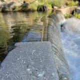 Brown's Ditch/Flume Trail [CLOSED], California - 202 Reviews, Map ...