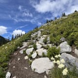 Bandera Mountain Summit, Washington - 1,611 Reviews, Map | AllTrails
