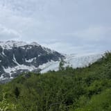 Harding Icefield Trail, Alaska - 3,105 Reviews, Map | AllTrails