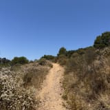 Balboa Park Loop, California - 979 Reviews, Map | AllTrails