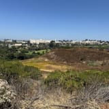 Balboa Park Loop, California - 979 Reviews, Map | AllTrails