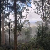 Chute Road and Mount Macedon Circuit, Victoria, Australia - 528 Reviews ...