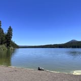 Suttle Lake Loop, Oregon - 857 Reviews, Map | AllTrails