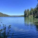 Suttle Lake Loop, Oregon - 857 Reviews, Map | AllTrails