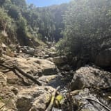 Cold Springs East Fork Trail, California - 345 Reviews, Map | AllTrails