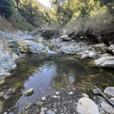 Cold Springs East Fork Trail, California - 345 Reviews, Map | AllTrails