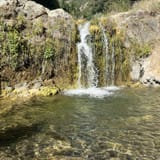 Cold Springs East Fork Trail, California - 345 Reviews, Map | AllTrails