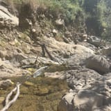 Cold Springs East Fork Trail, California - 345 Reviews, Map | AllTrails