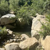 Cold Springs East Fork Trail, California - 345 Reviews, Map | AllTrails