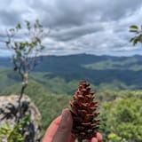 Mon Jing Loop, Chiang Mai, Thailand - 289 Reviews, Map | AllTrails