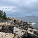 Ocean Path Trail, Maine - 3,854 Reviews, Map | AllTrails