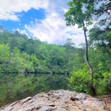 Raven Rock Loop Trail [CLOSED], South Carolina - 2,448 Reviews, Map ...