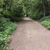 Wynyard Woodland Park, North Yorkshire, England - 60 Reviews, Map ...