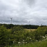 Wynyard Woodland Park, North Yorkshire, England - 60 Reviews, Map ...