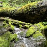 Diamond Notch Falls via Diamond Notch Road, New York - 898 Reviews, Map ...