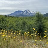 Hummocks Trail, Washington - 1,112 Reviews, Map | AllTrails