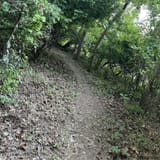 Chestnut Ridge Trail, Virginia - 470 Reviews, Map | AllTrails