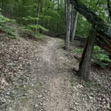 Chestnut Ridge Trail, Virginia - 470 Reviews, Map | AllTrails