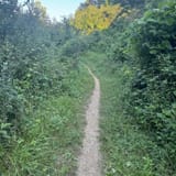 Chestnut Ridge Trail, Virginia - 470 Reviews, Map | AllTrails