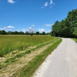 Longview Lake and Little Blue River, Missouri - 703 Reviews, Map ...