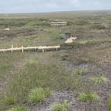 The Lyke Wake Walk, North Yorkshire, England - 45 Reviews, Map | AllTrails