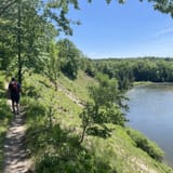 The Manistee River Loop Trail, Michigan - 1,946 Reviews, Map | AllTrails