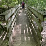 The Manistee River Loop Trail, Michigan - 1,946 Reviews, Map | AllTrails