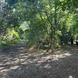 Cedar Ridge Outer Loop, Texas - 2,325 Reviews, Map | AllTrails