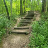 Salt Run, Ohio - 1,515 Reviews, Map | AllTrails
