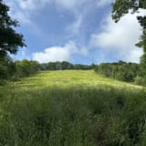 Siler Bald via Appalachian Trail, North Carolina - 796 Reviews, Map ...