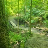 Salt Run, Ohio - 1,515 Reviews, Map | AllTrails